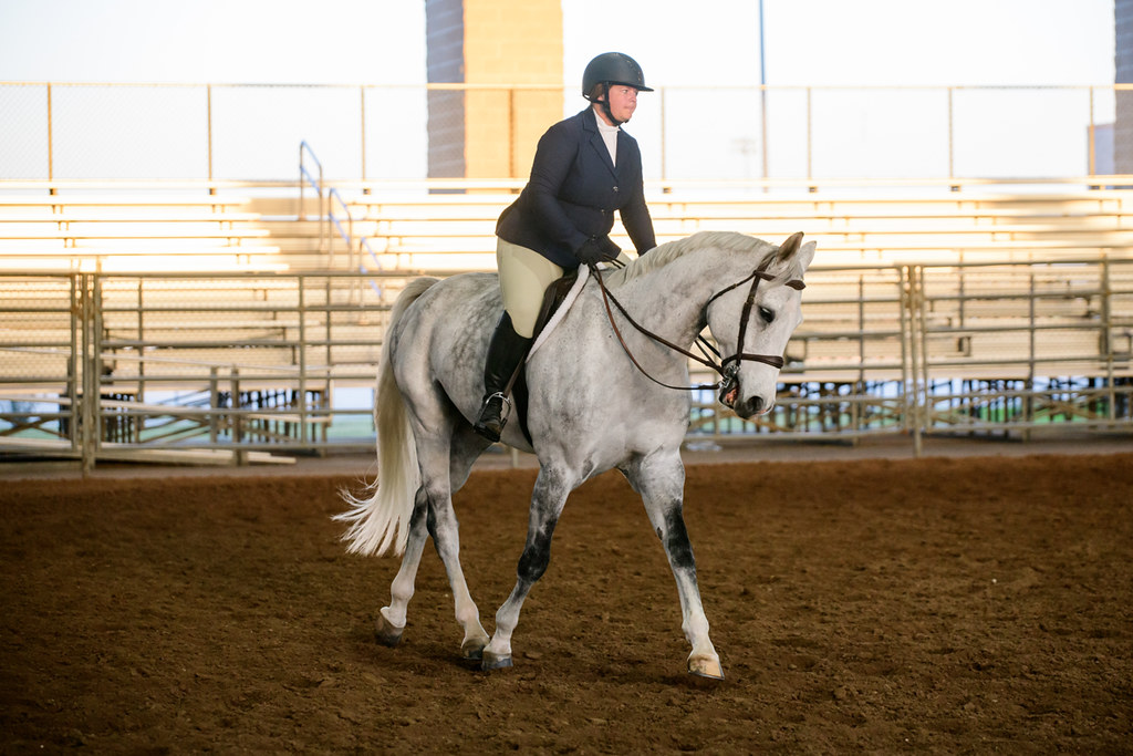 How Taking Antidepressants Improved My Riding - The Plaid Horse Magazine