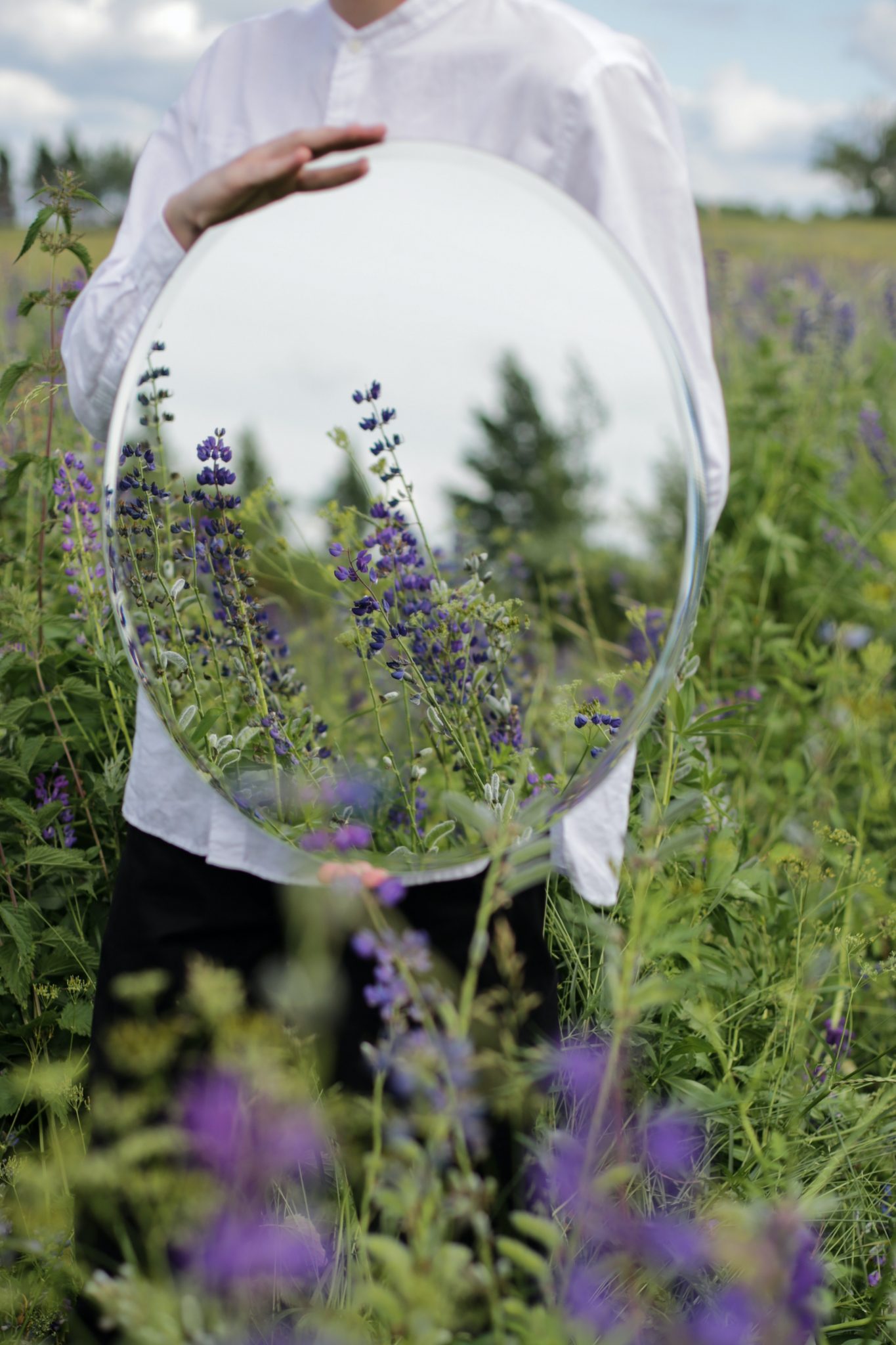A guide to convex observation mirrors - The Plaid Horse Magazine