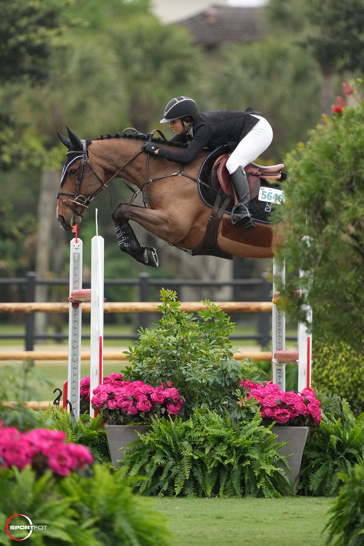 Adrienne Sternlicht Leaves It All On the Field for 1.50m Victory at WEF ...