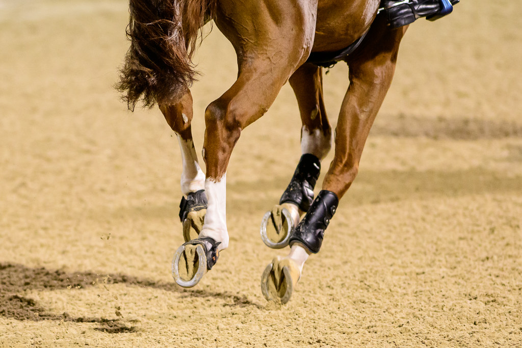 The Tale of an Emerging Equestrian Professional - The Plaid Horse Magazine