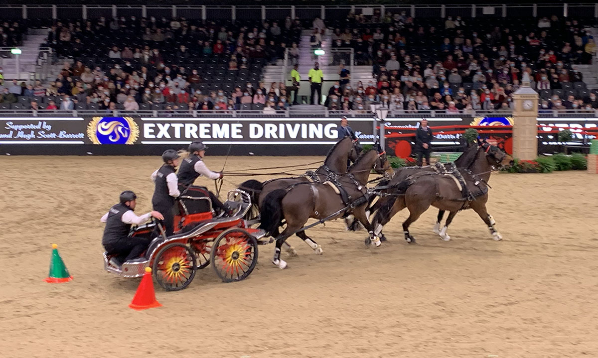 London International Horse Show (LIHS): a Volunteer’s View - The Plaid ...