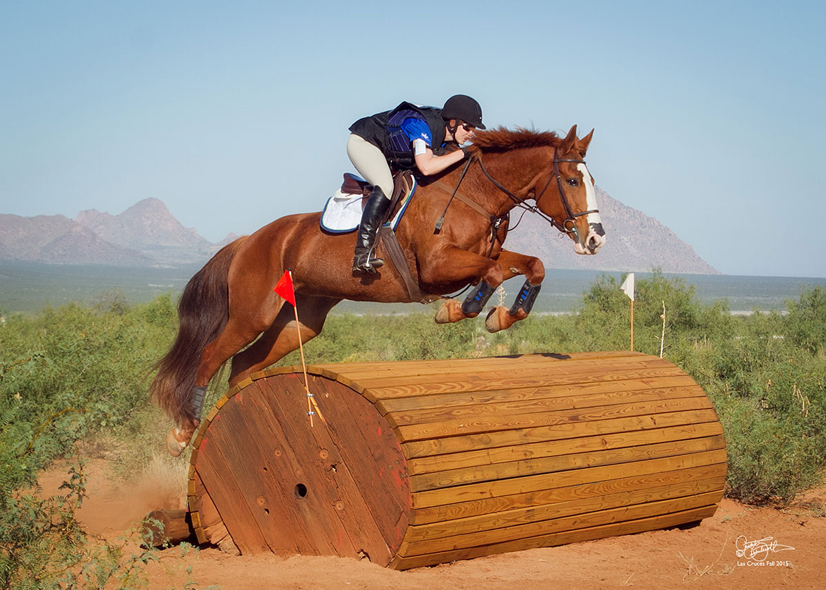 Ride of a Lifetime - The Plaid Horse Magazine