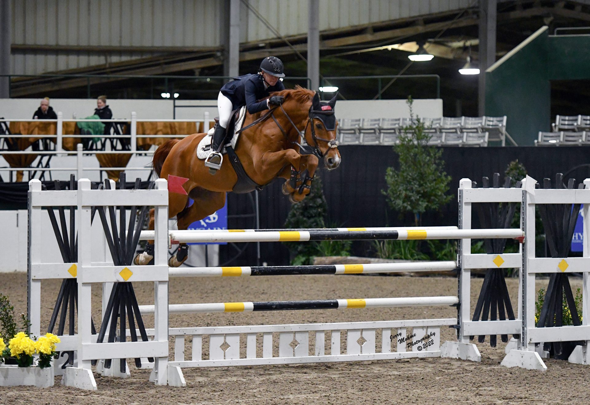 Jacqueline Ruyle Rules the $25,000 ReRide Tack Grand Prix at Texas ...