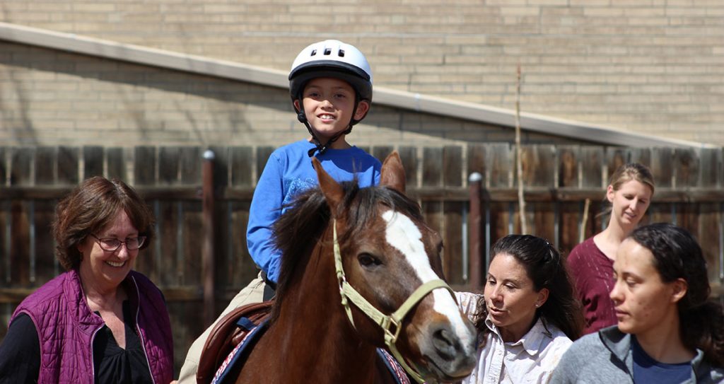Promoting Research, Collaboration, and Education in the Field of Equine ...