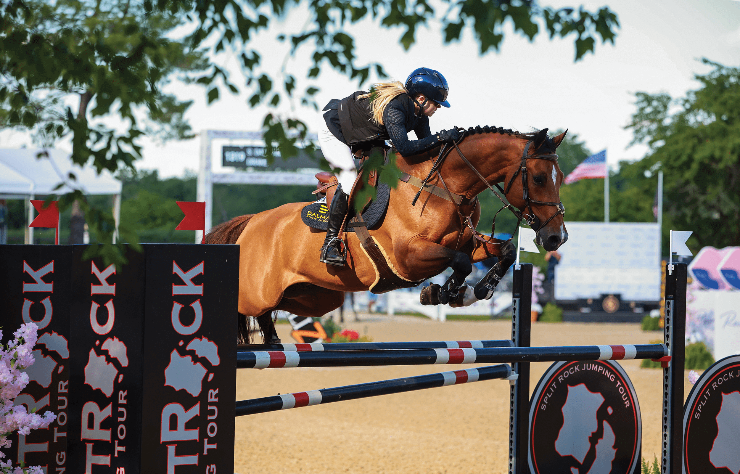 American Bred: Drake Steals the Show in and Out of the Ring for Dalman Show Jumping and Pony ...