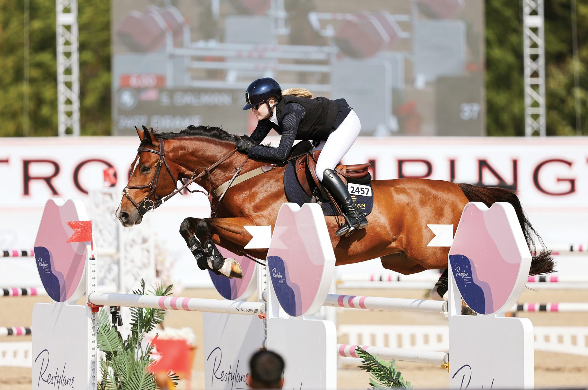 American Bred: Drake Steals the Show in and Out of the Ring for Dalman ...