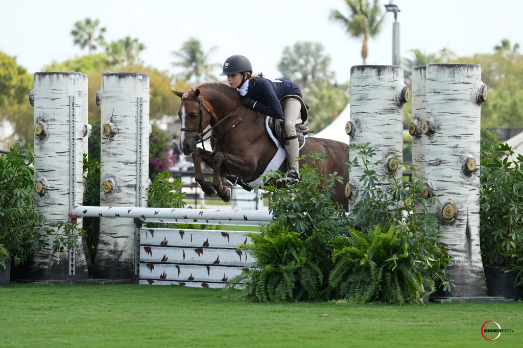 Consistency Key for Ava Barnes and Rico Suave’ in $5,000 USHJA Pony ...