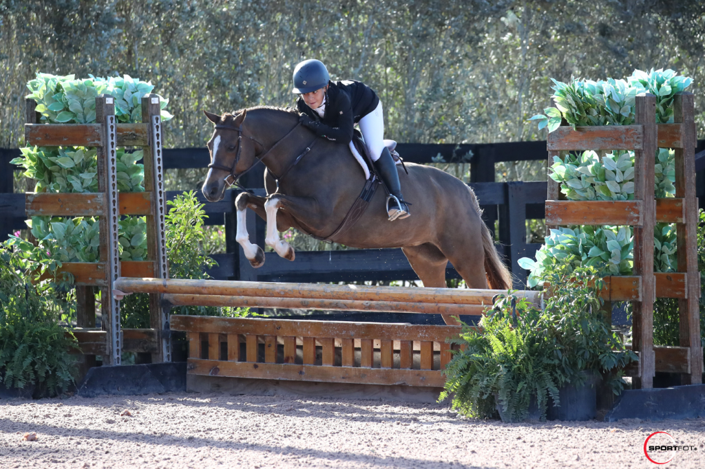 Vivian Golden and J.J. Torano Shine in Medium Pony Hunters at WEF 9 ...