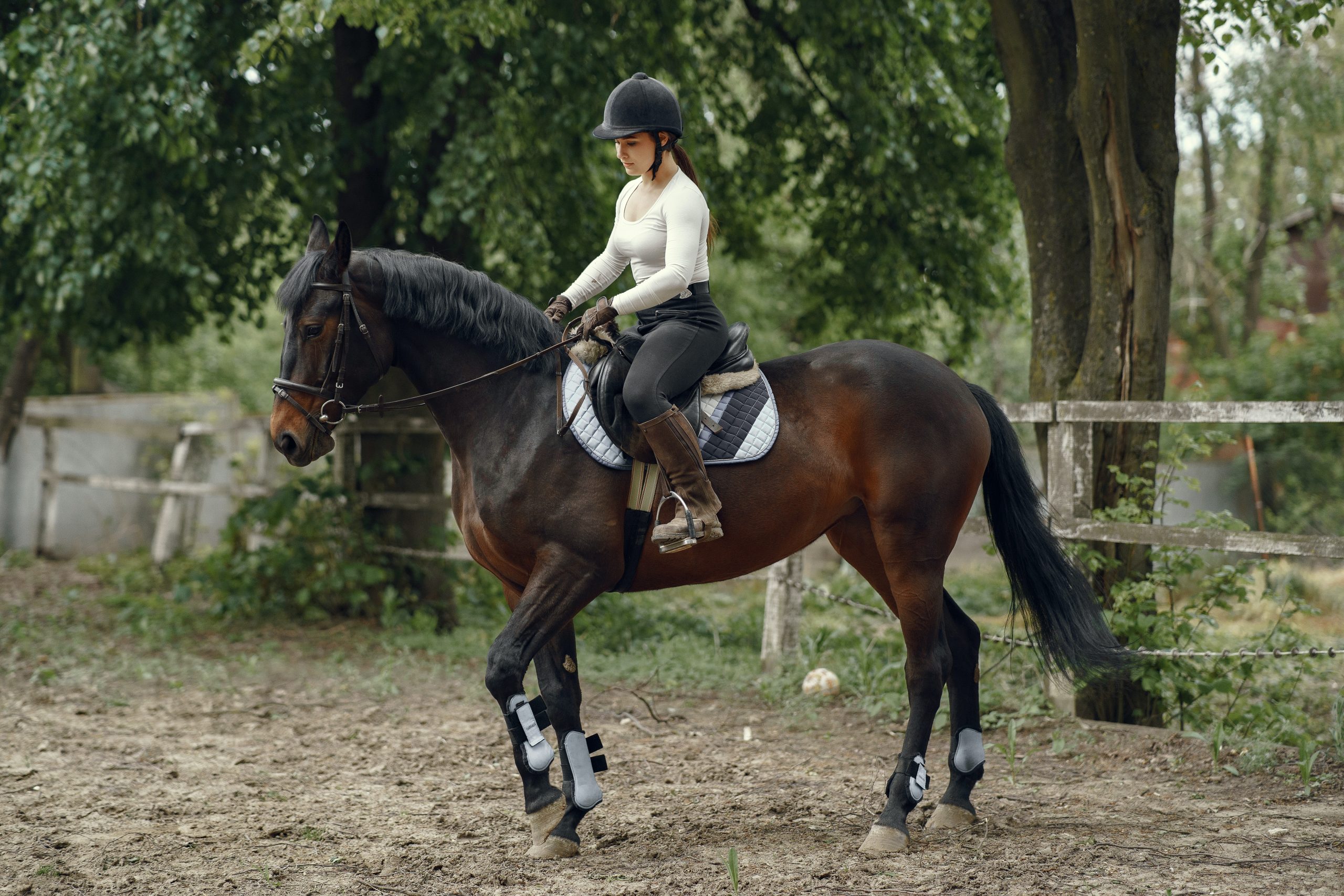 Equestrian Safety Essentials Heading Into Spring and Summer - The Plaid ...