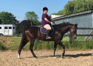 The Top 5 Things That Improved My Plus-Sized Riding Life - The Plaid ...