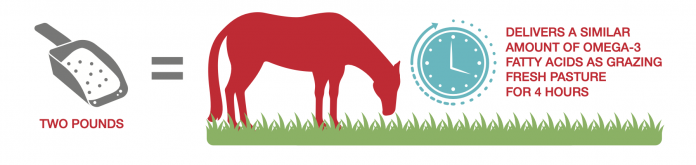 A Holistic Approach to Equine Nutrition: Purina® Omega Match™ Ration ...