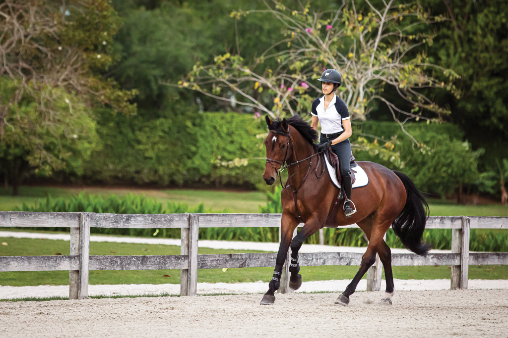The Equestrians of Color Photography Project: Meet Maya Aryal, Chloe ...