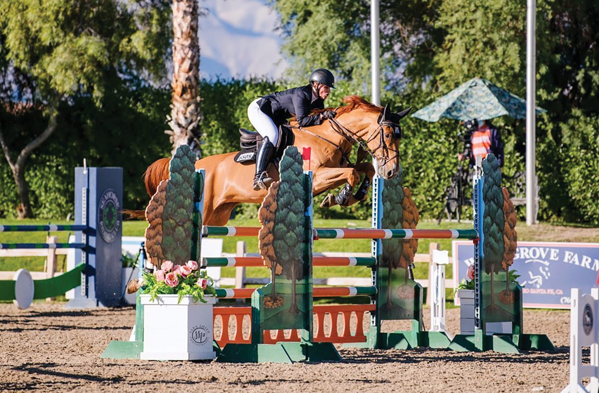 French Horse Exports: Bridging the Gap Between the European and ...