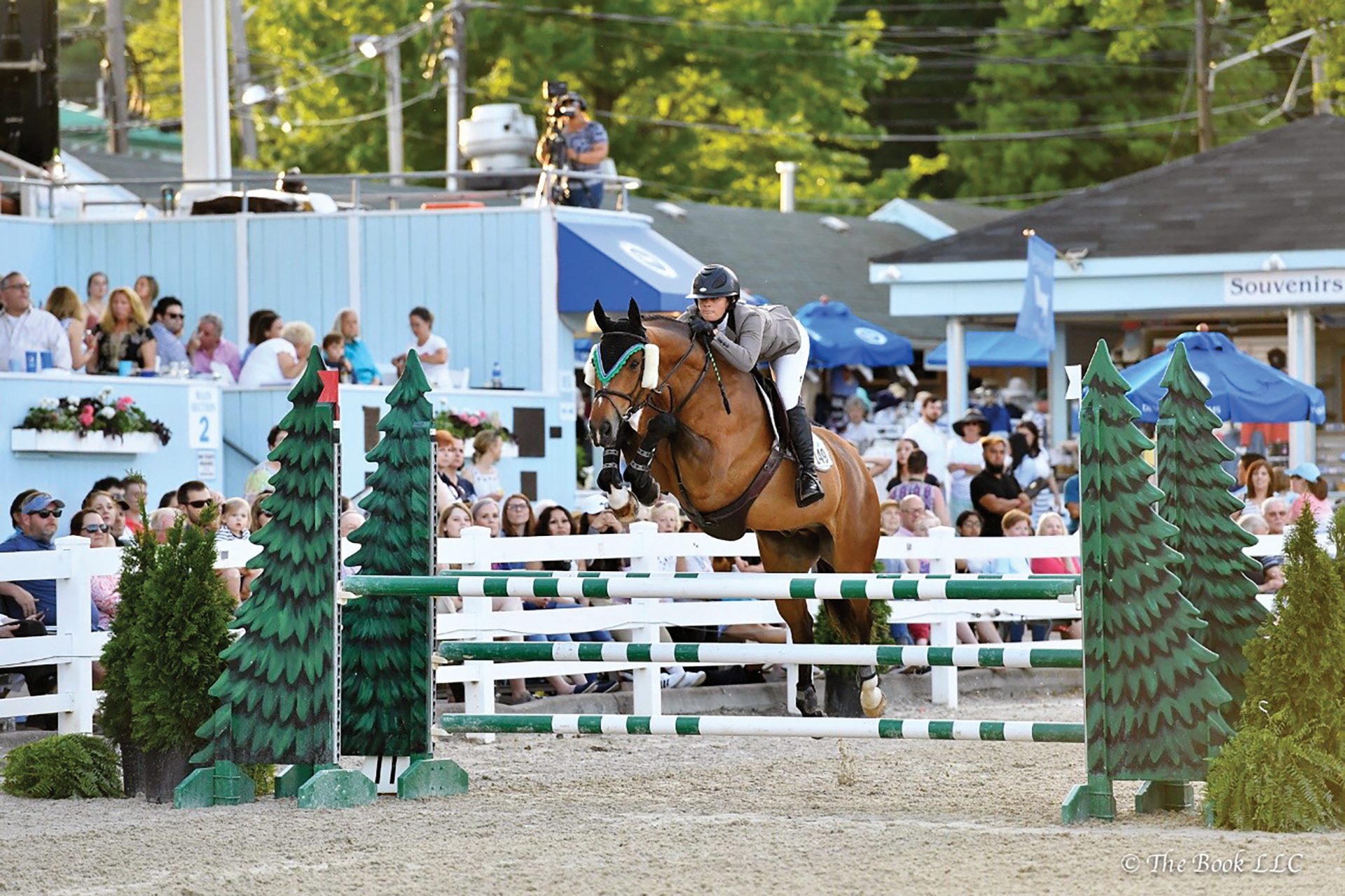 French Horse Exports: Bridging the Gap Between the European and ...