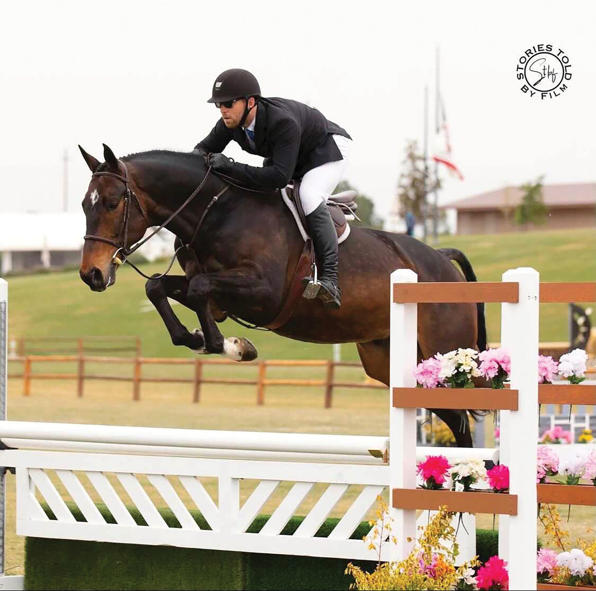 French Horse Exports: Bridging the Gap Between the European and ...