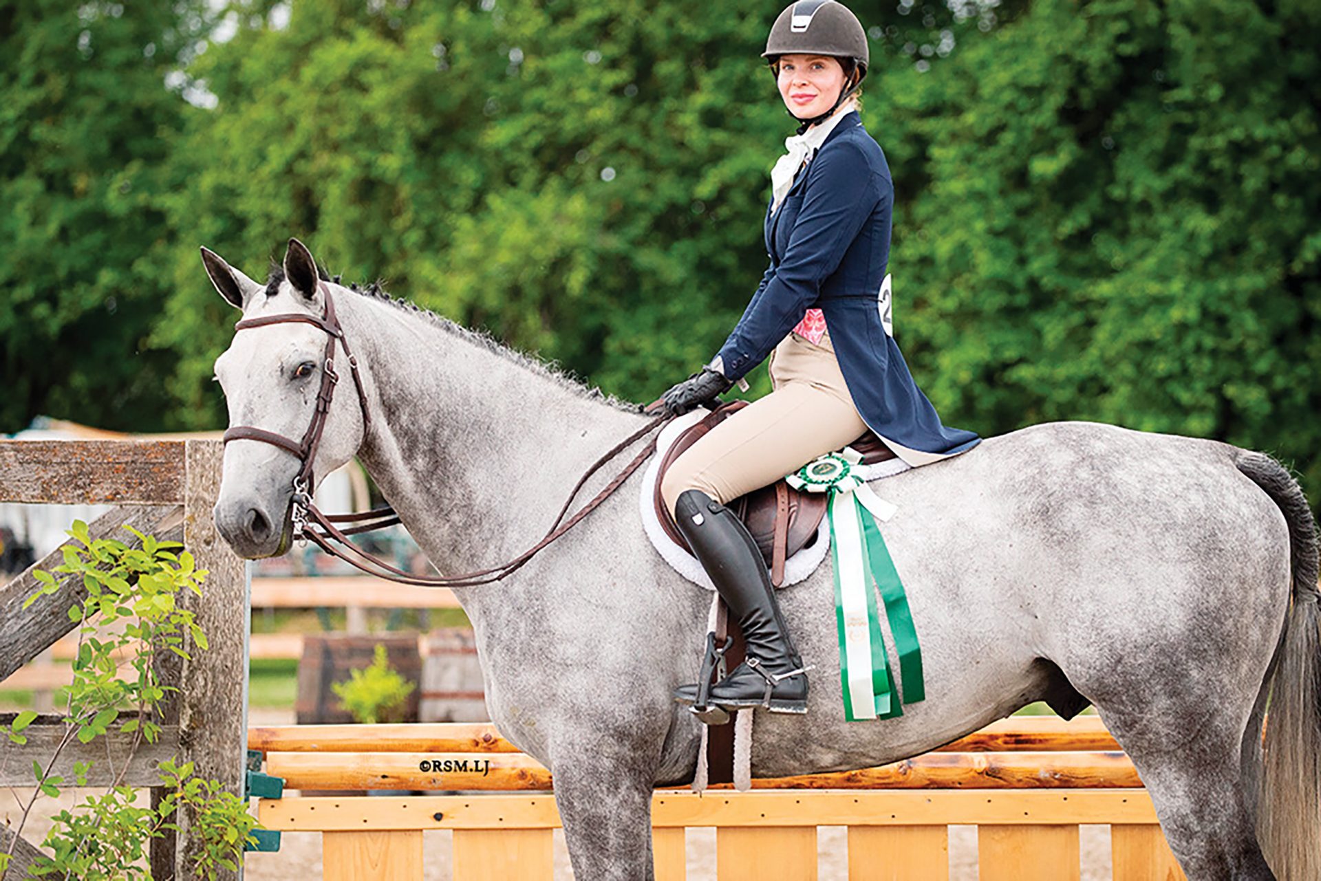 French Horse Exports: Bridging the Gap Between the European and ...