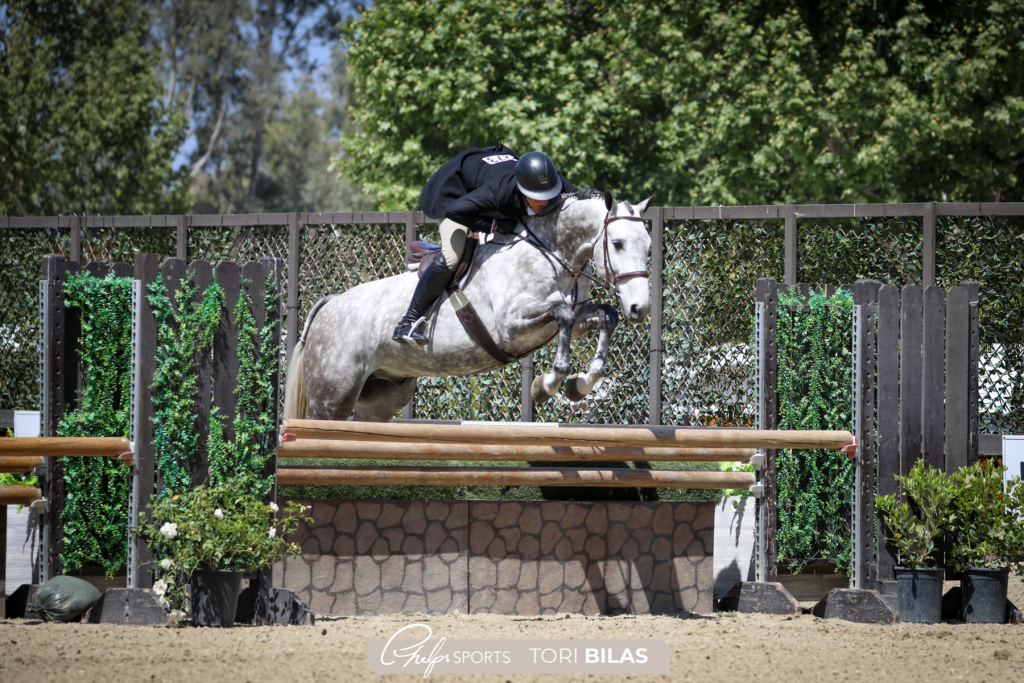 Emily Esau Williams and Kuala Lumpur Land the Win in $2,500 USHJA ...