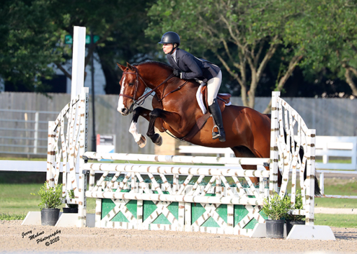 THIS Rider Profile: Shannon Davidson - The Plaid Horse Magazine