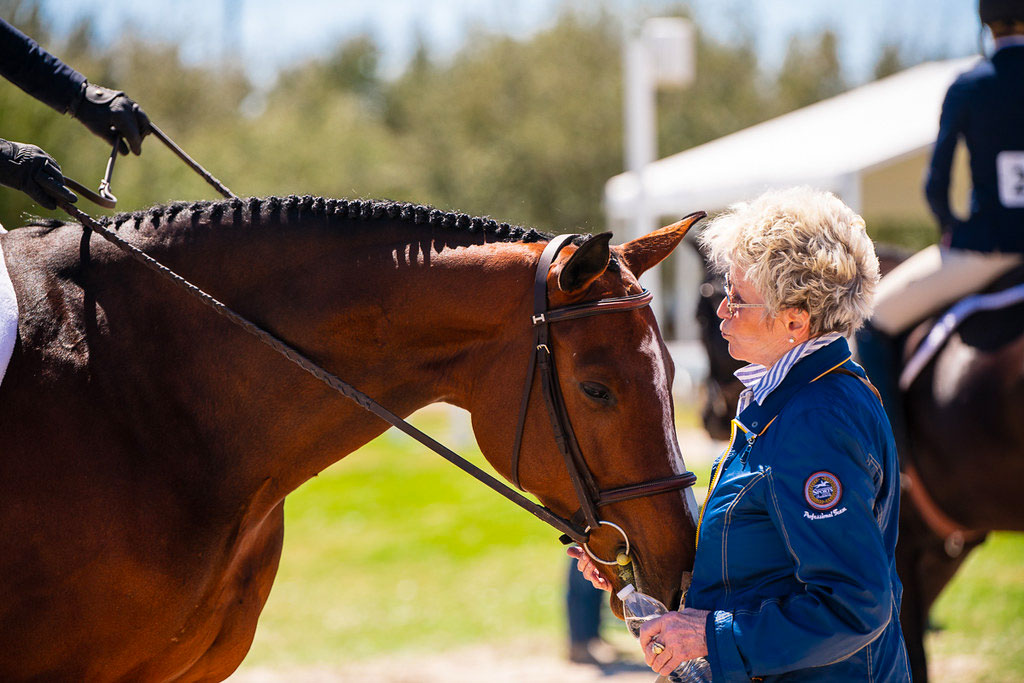 It's About the Relationship: Managing Your Horse-Time - The Plaid Horse ...