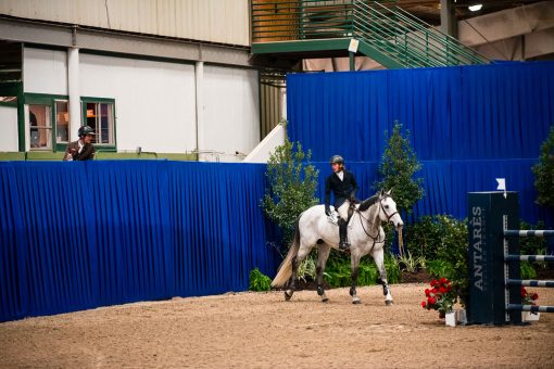 It's About the Relationship: Managing Your Horse-Time - The Plaid Horse ...