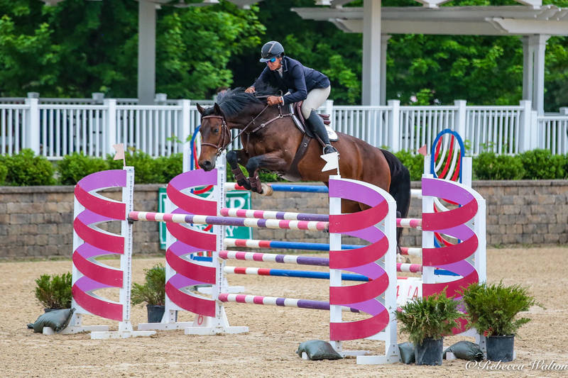 Shannon Hicks and Chada Showcase New Partnership in $10,000 HITS 1.40m ...