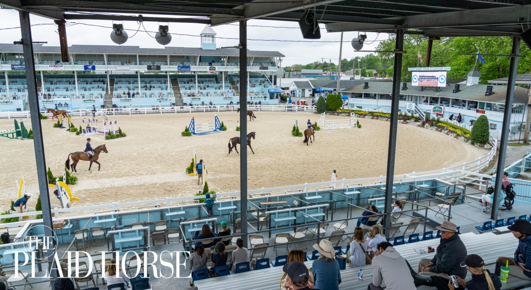What to Eat: The Devon Horse Show (Are You Team Lemon Sticks or Tea ...