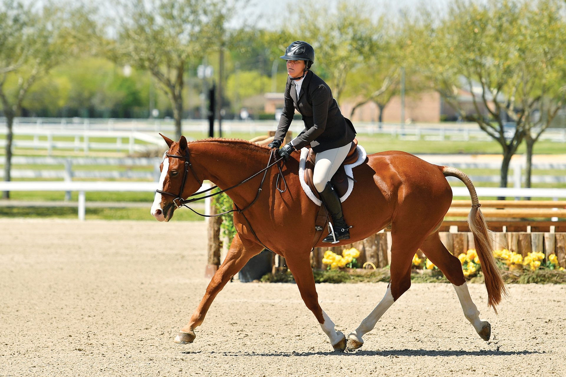 The Plaid Horse Questionnaire With: Colleen Acosta - The Plaid Horse ...