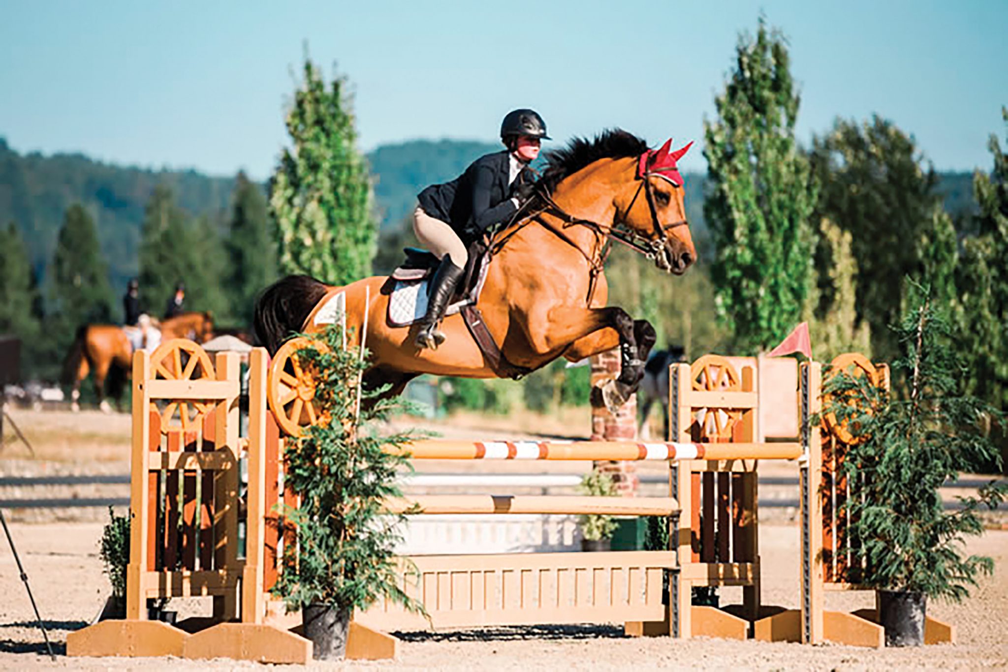 WSHJA: Bringing Education and Opportunities to the Northwest - The ...