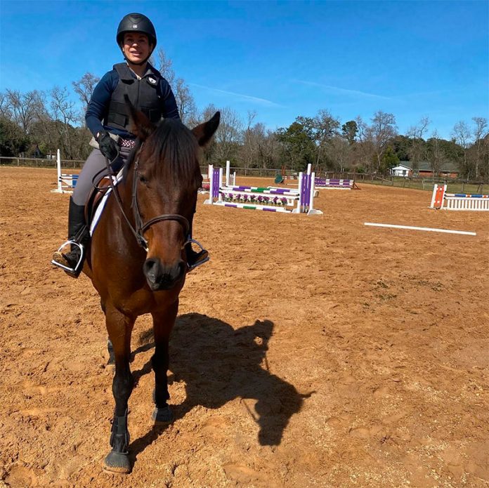 Layers of Loss: Understanding Grief - The Plaid Horse Magazine