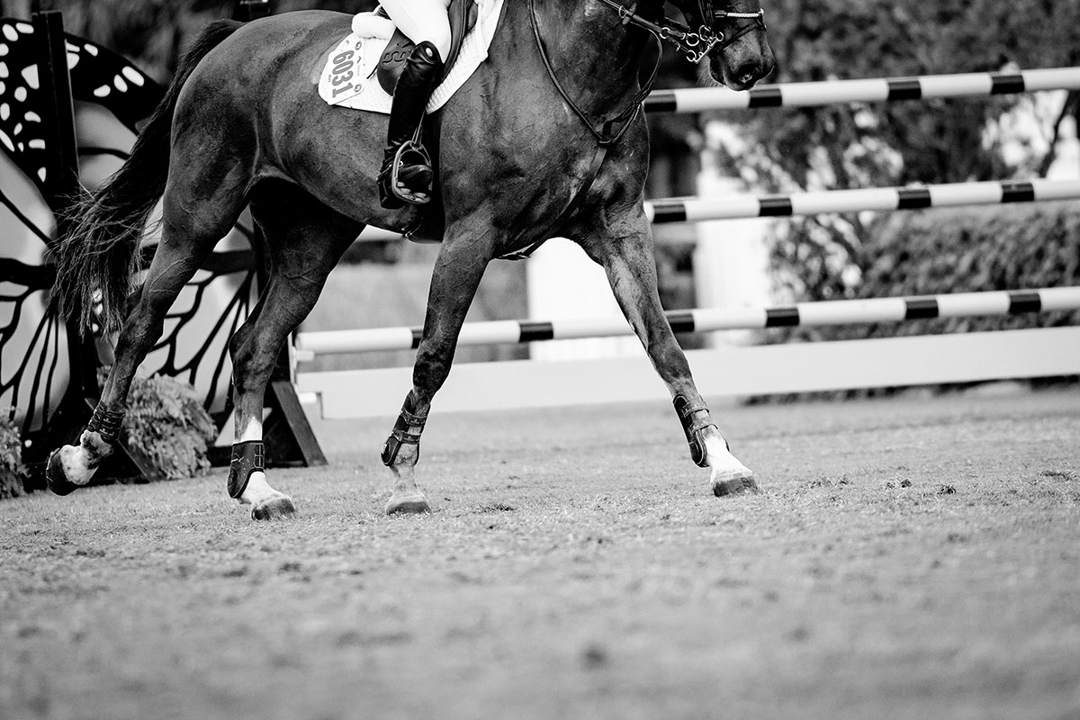 Layers of Loss: Understanding Grief - The Plaid Horse Magazine