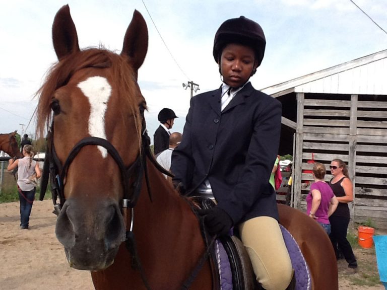 Sunrise, Sunset: Pivotal Years with a Life Changing Pony - The Plaid ...