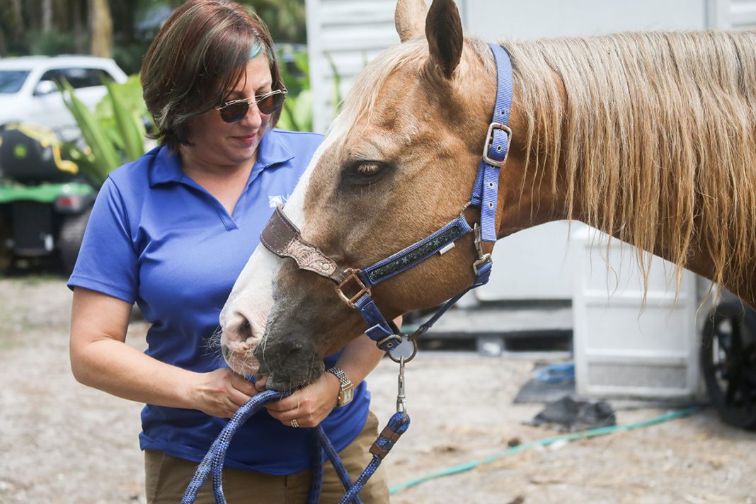 Hope In the Darkest Moments: Streaker and Majesty’s Journey with ...