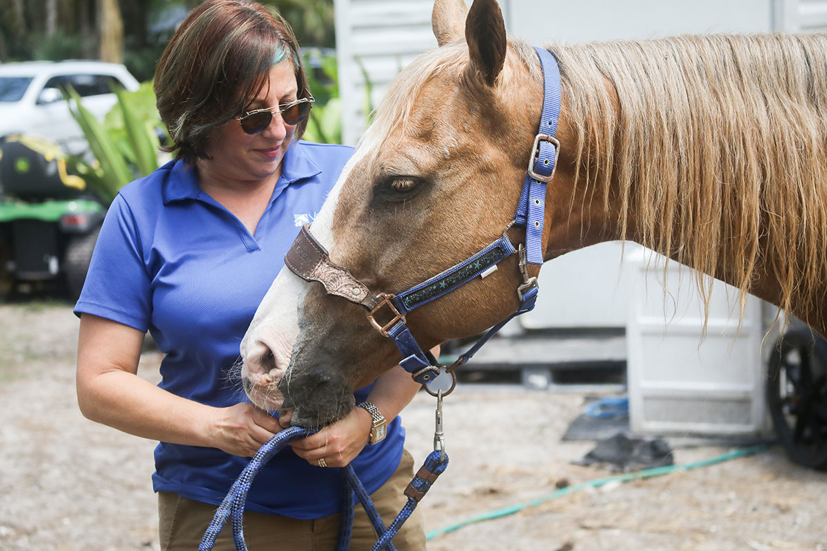 Hope In the Darkest Moments: Streaker and Majesty’s Journey with ...