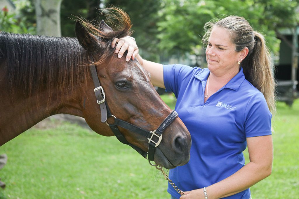 Hope In the Darkest Moments: Streaker and Majesty’s Journey with ...