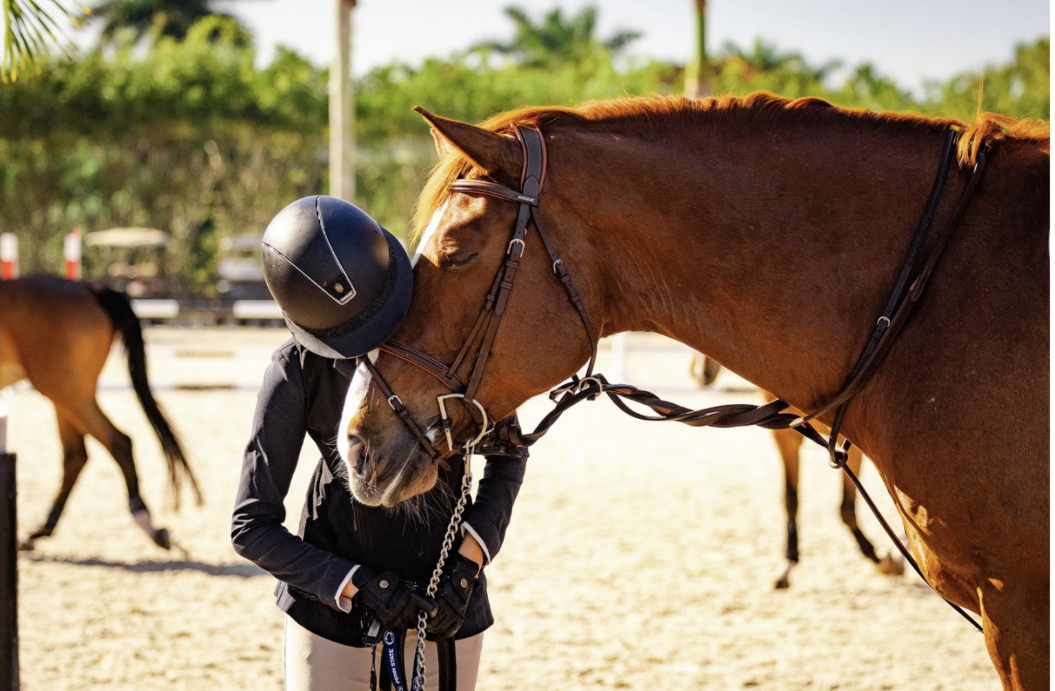 Guide to Appropriate Barn Attire - The Plaid Horse Magazine