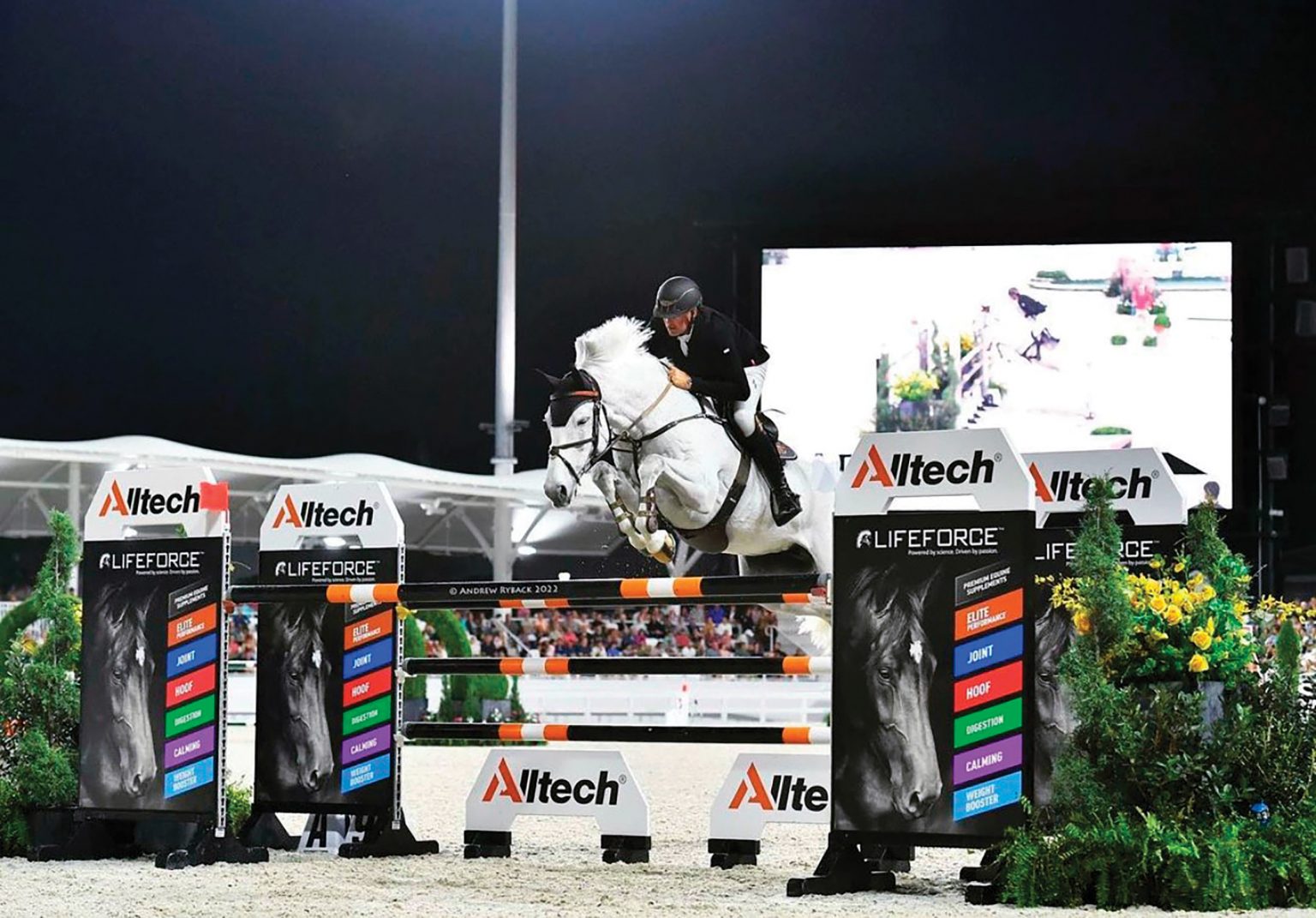 Five Tips For ... Reading Between the Lines on Your Horse’s Feed Tag ...