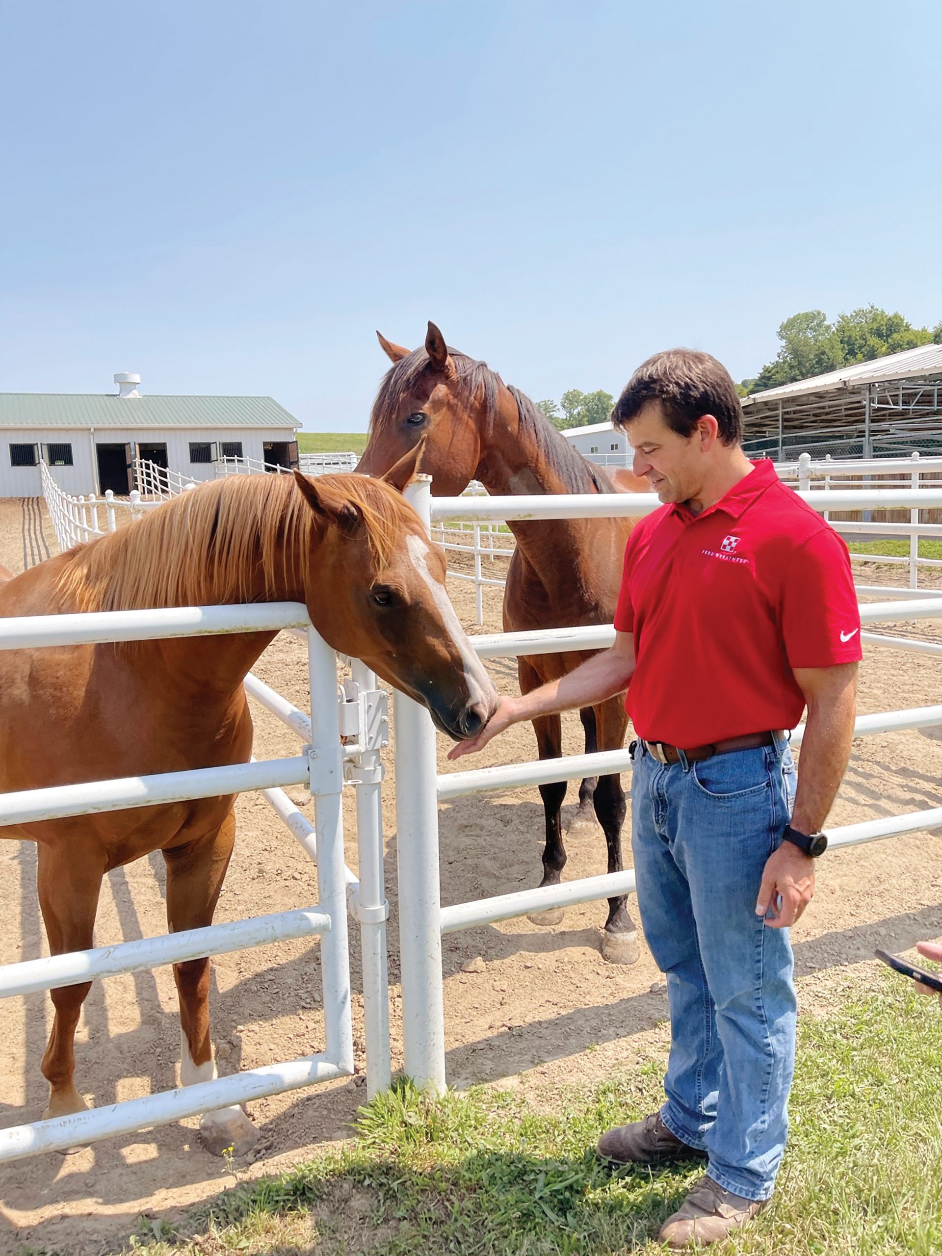 PURINA: Demystifying Your Horse’s Nutritional Needs - The Plaid Horse ...