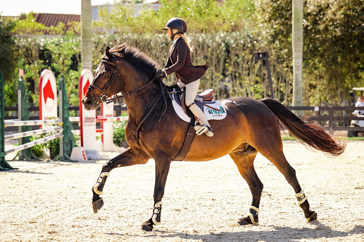 Treat Your Horse Like a Professional Athlete - The Plaid Horse Magazine