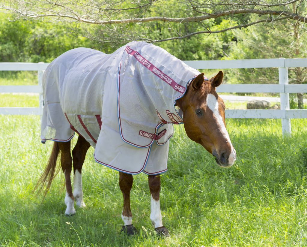 TPH Review: Rambo Protector Fly Sheet with Disc Front - The Plaid Horse ...