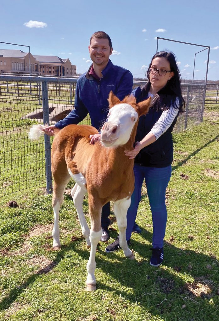 The Grayson-Jockey Club Research Foundation: Dedicated to the ...