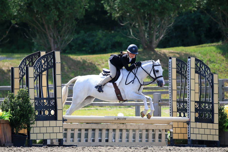 Madison Kaplan and Rags to Riches Rise to Children’s Pony Hunter Finals ...