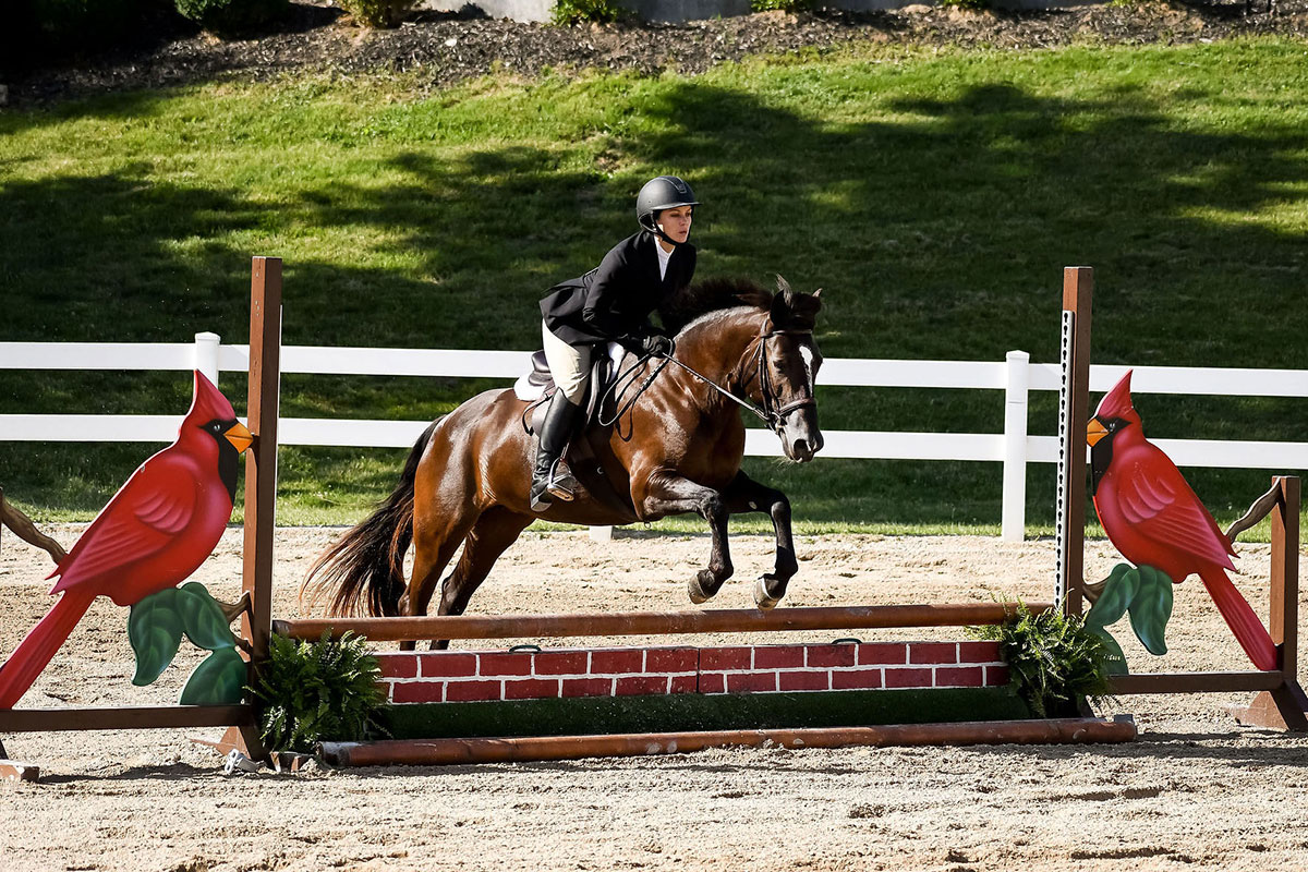 Worth The Wait: A Reorganization of Painful Childhood Horse Memories ...