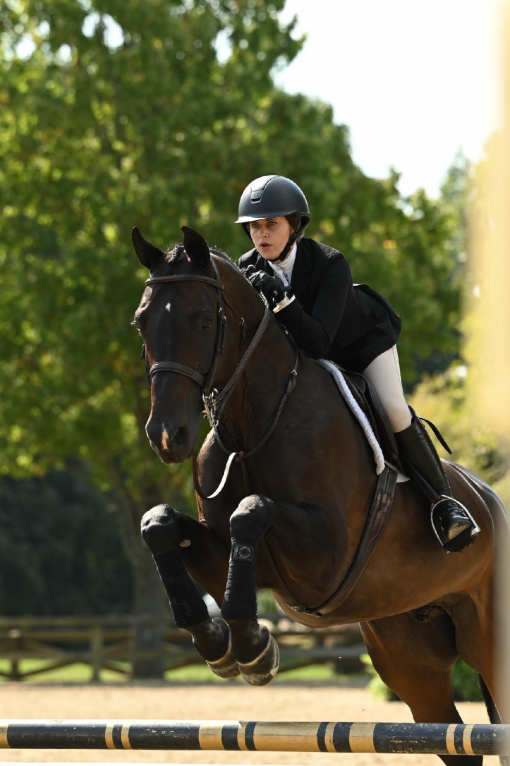 Jordan Gibbs Wins 2022 ASPCA Maclay Region 2 Championship at Old Salem ...