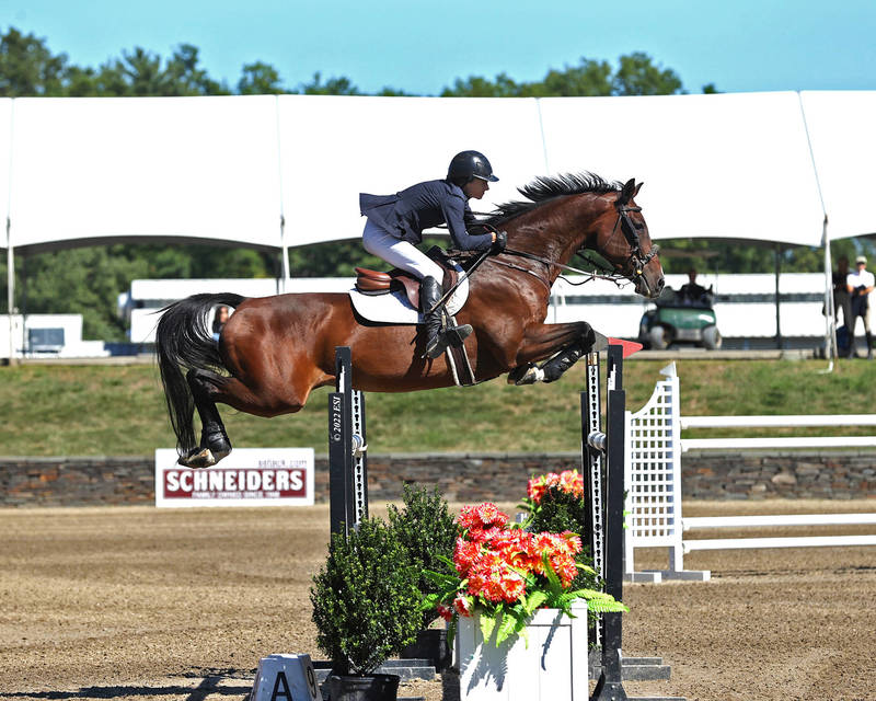 Laura Chapot and Diarado's Flying Dutchman Soar to $25,000 SmartPak ...