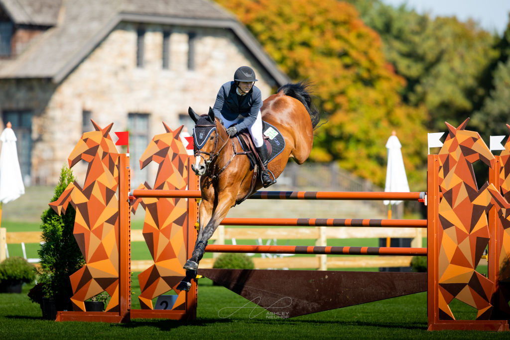 Sternlicht Experiments With CSI3* Speed 1.55m Win at CSI Greenwich ...