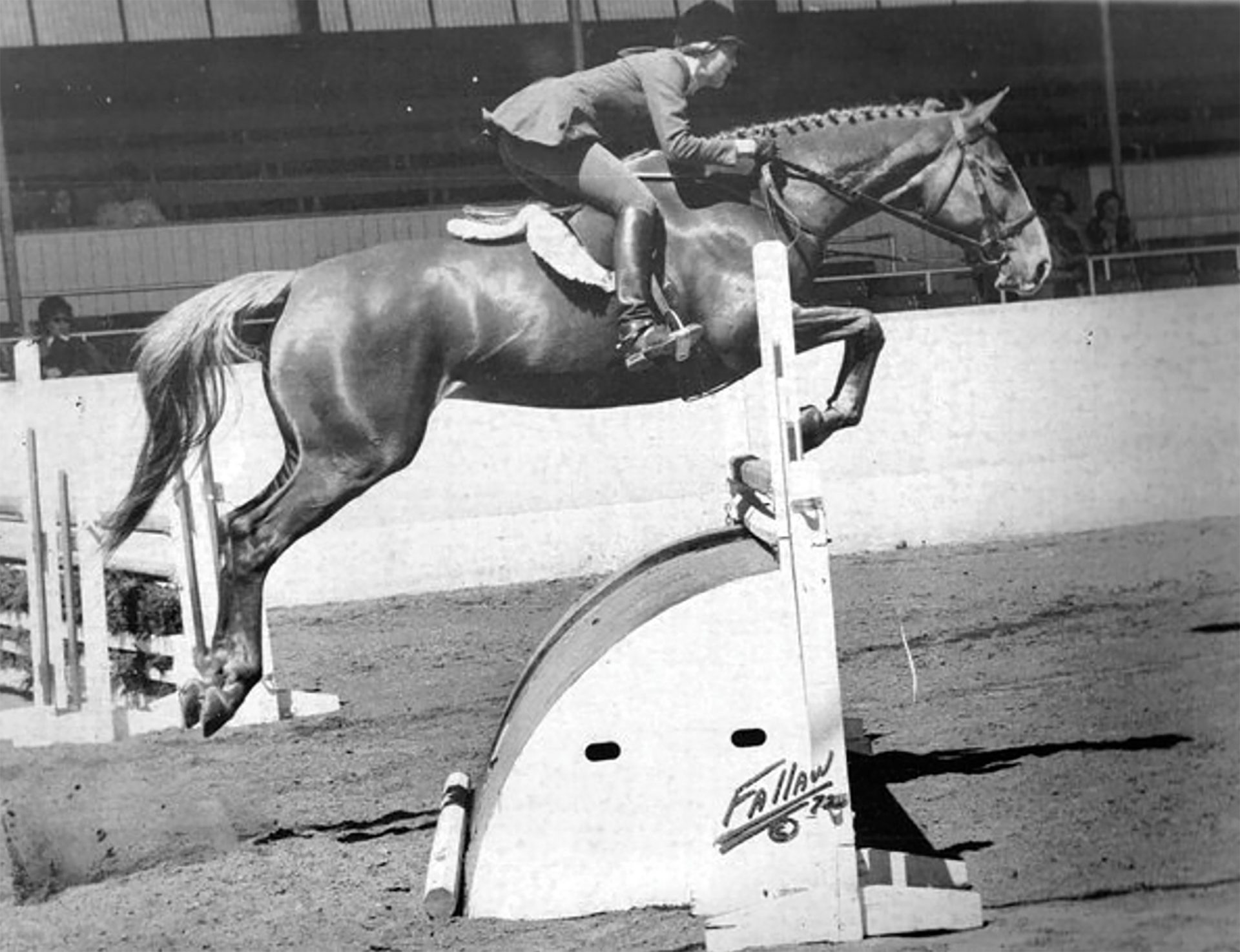 “I Do Lessons, Not Lunch” — How Karen Healey’s Passion for Teaching ...