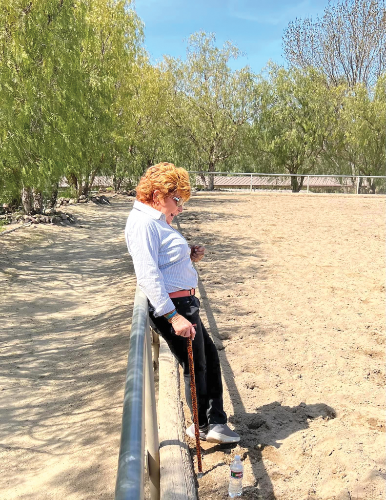 “I Do Lessons, Not Lunch” — How Karen Healey’s Passion for Teaching ...