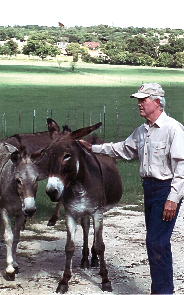 The Mule: Everything You Should Know About the Most Underrated Equines ...