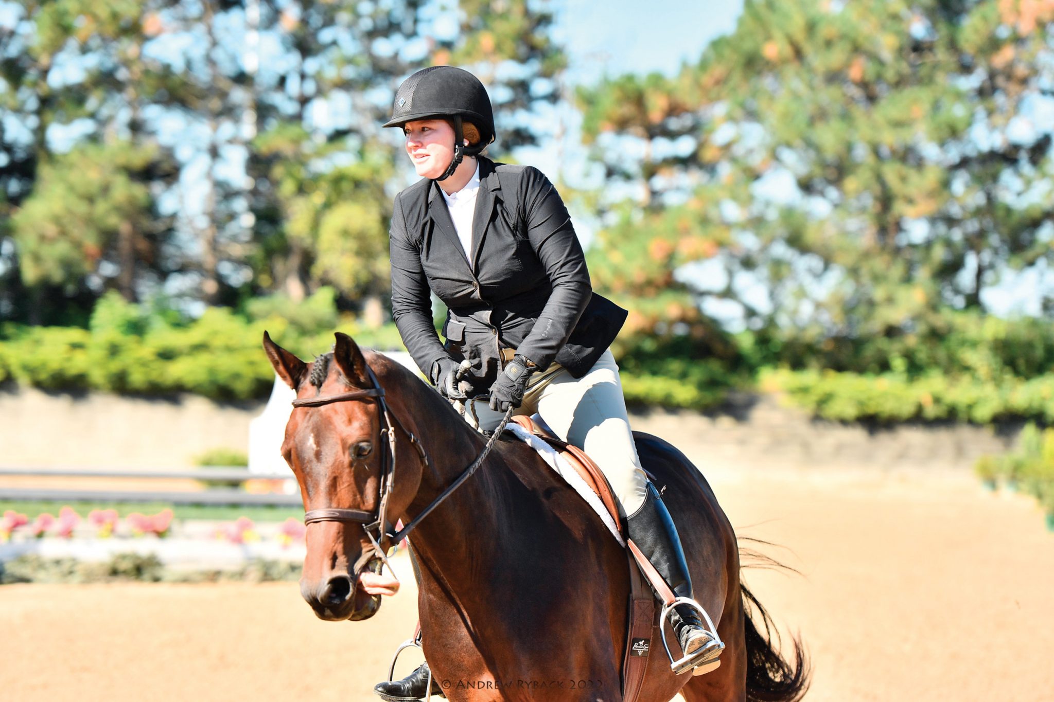 Publisher's Note: Ask Yourself More Questions - The Plaid Horse Magazine