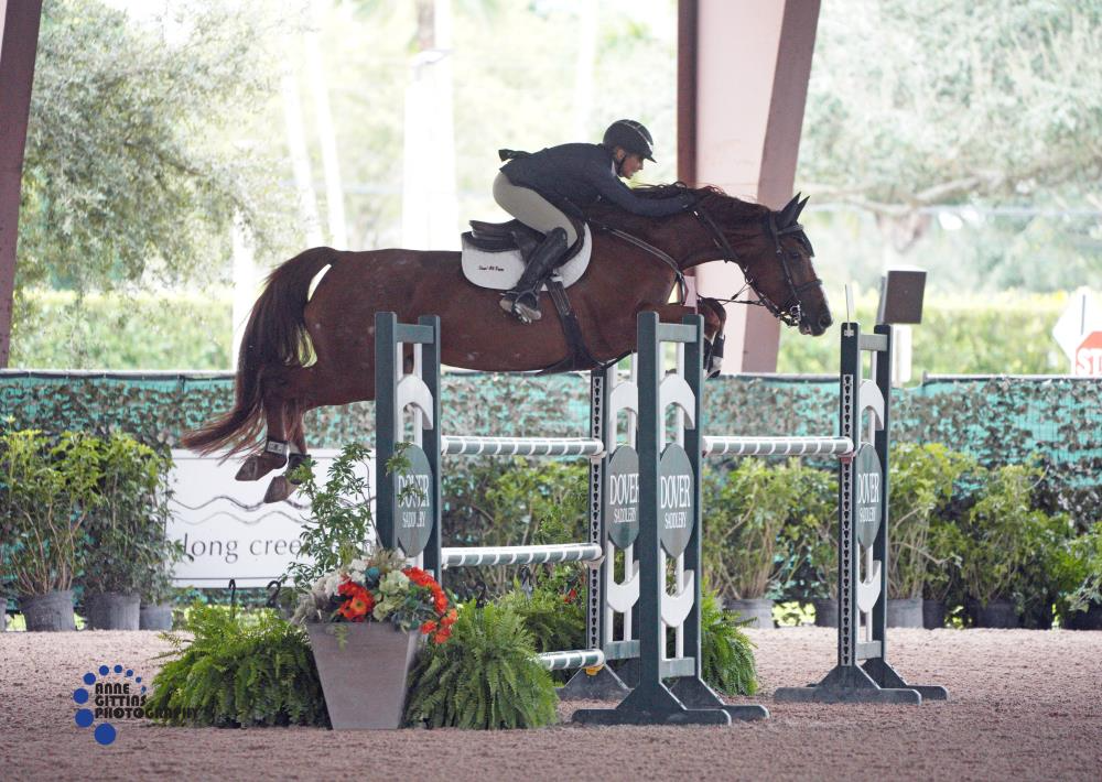 Paternoster 'Directs' Win in 1.40m Open Stake at ESP Rita & Irish Flynn ...